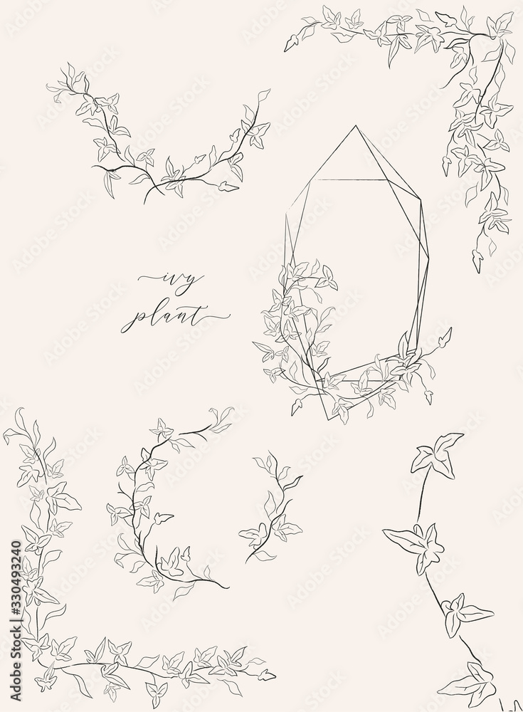 Collection of line drawing ivy plant vector floral wreaths, geometric ...