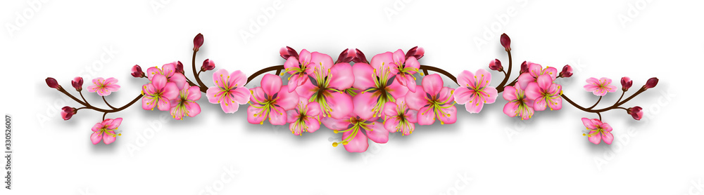 Element of cherry blossom branches. Line with flowers and buds isolated ...