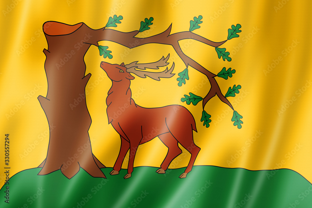 Berkshire County flag, UK Stock Illustration | Adobe Stock