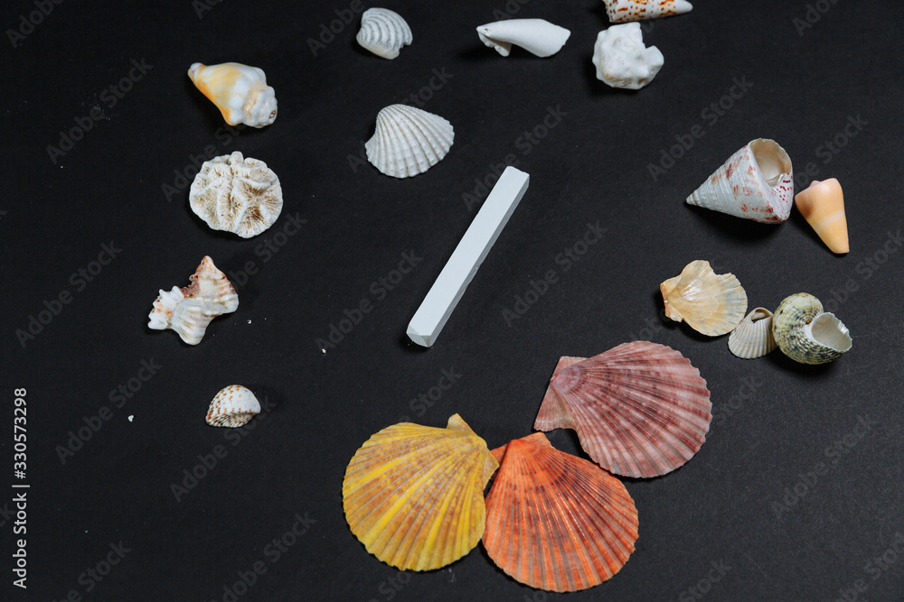 Paleontological exhibit for demonstration and teaching students showing ...