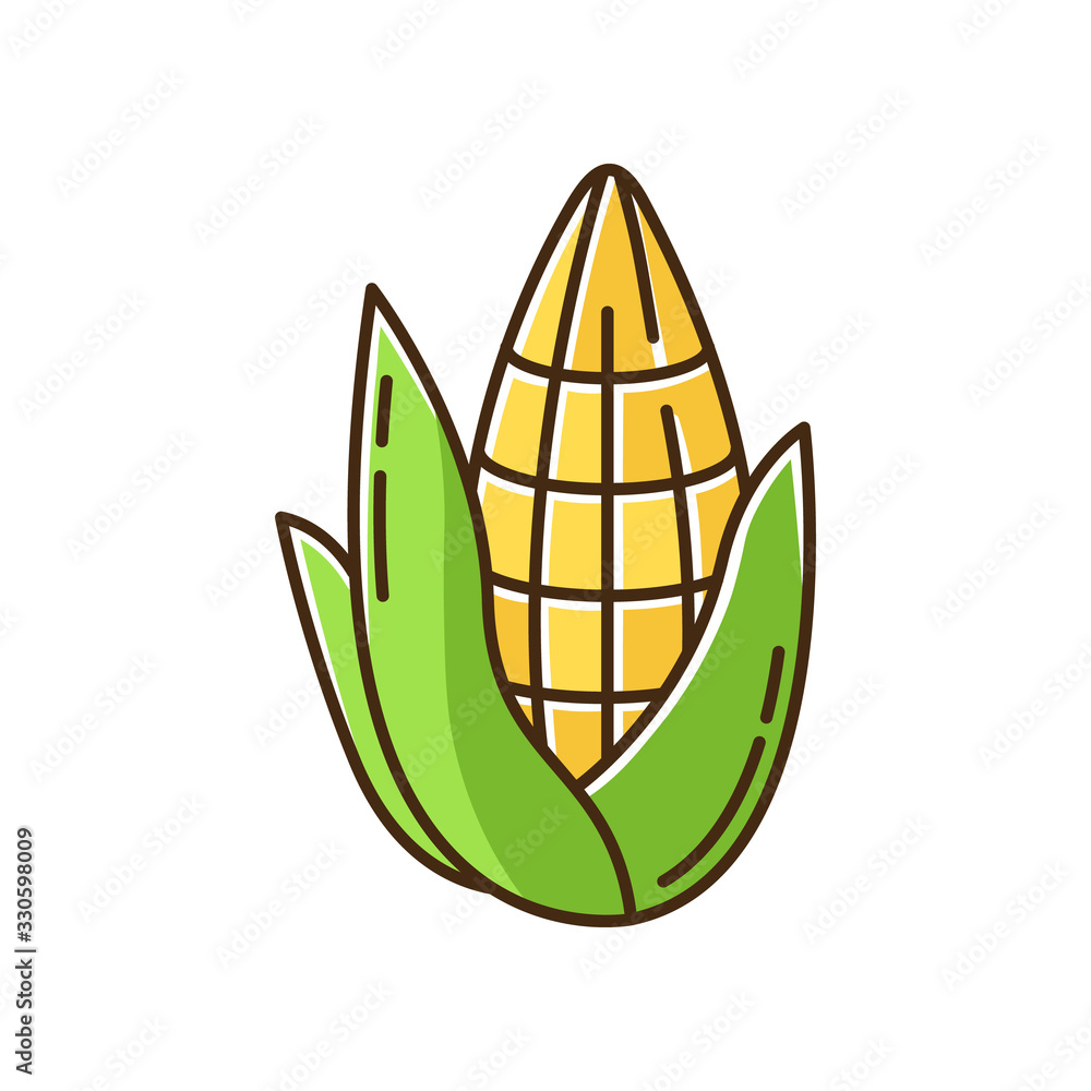 Corn RGB color icon. Corncob pipe with leaf. Sweetcorn. Maize cereal ...