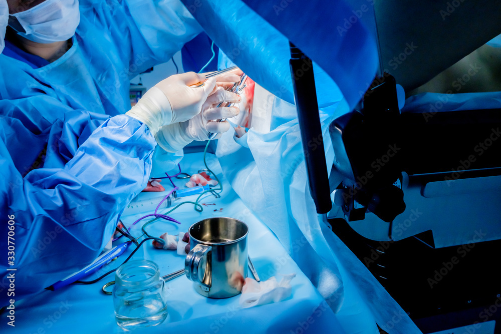 Bloodied hands of surgeons in sterile latex gloves with surgical ...