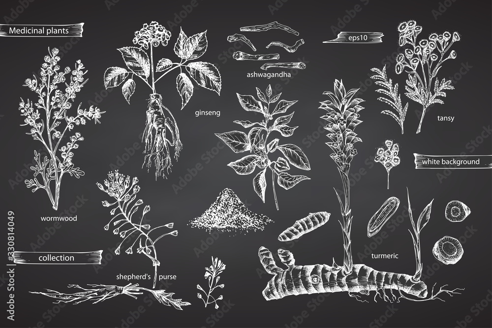 Set vintage hand drawn sketch medicine herbs elements isolated on black ...