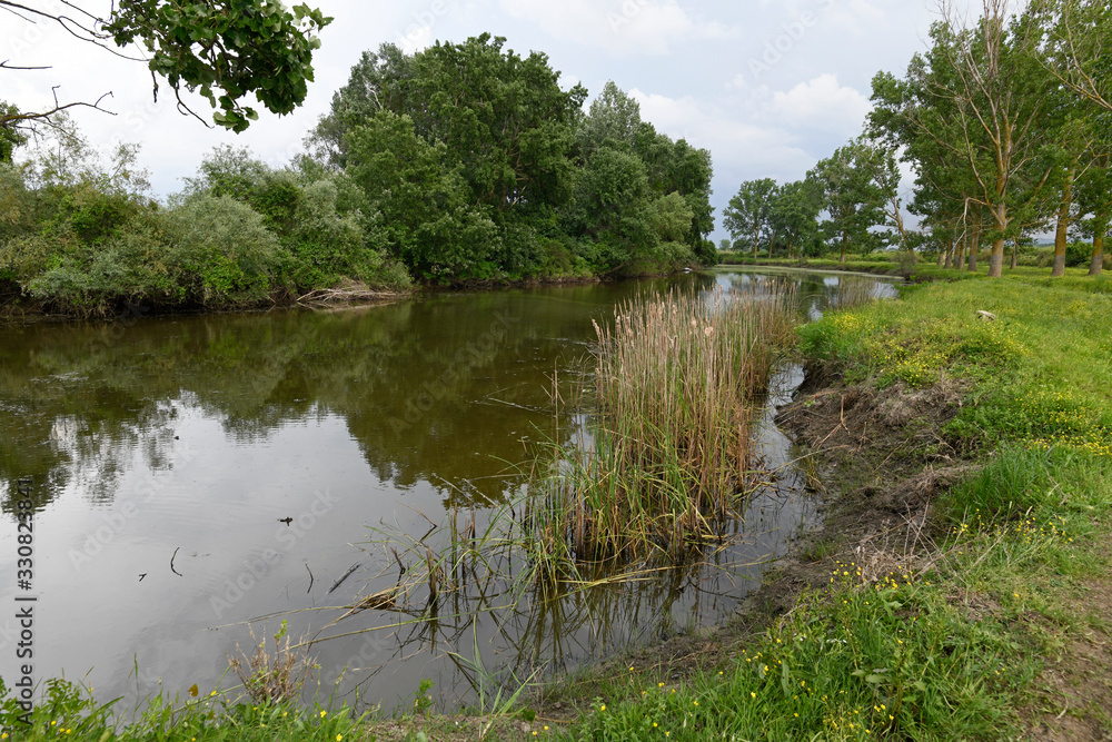 Foto de River Evros in the Evros Delta (Greek-Turkish border area ...