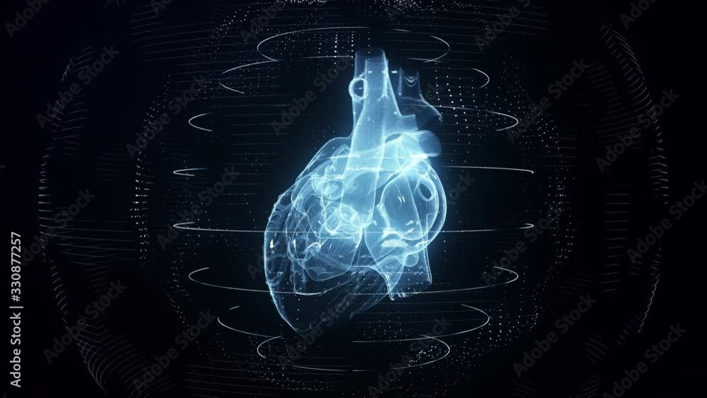 Anatomically correct blue digital human heart seamless loop. Futuristic ...