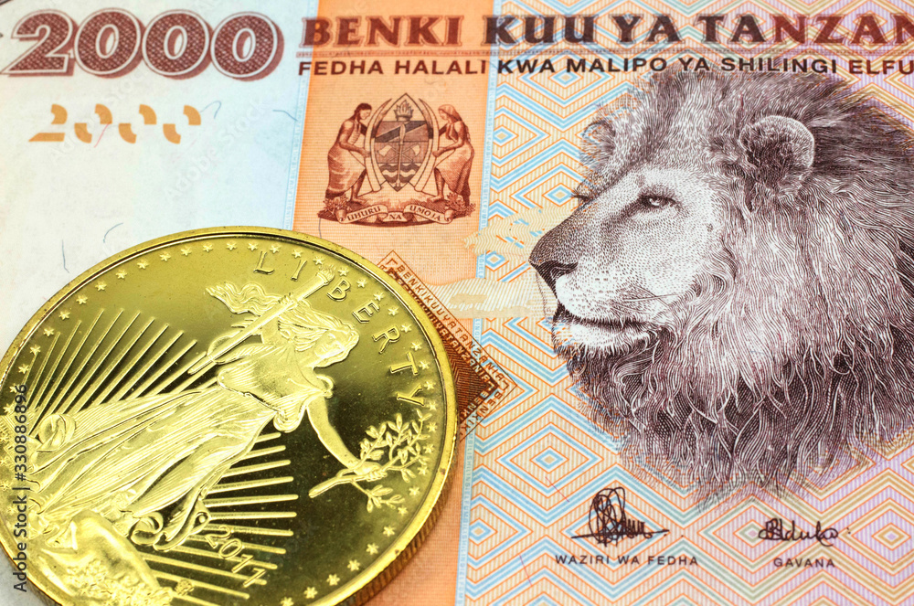Tanzanian Shilling Coins