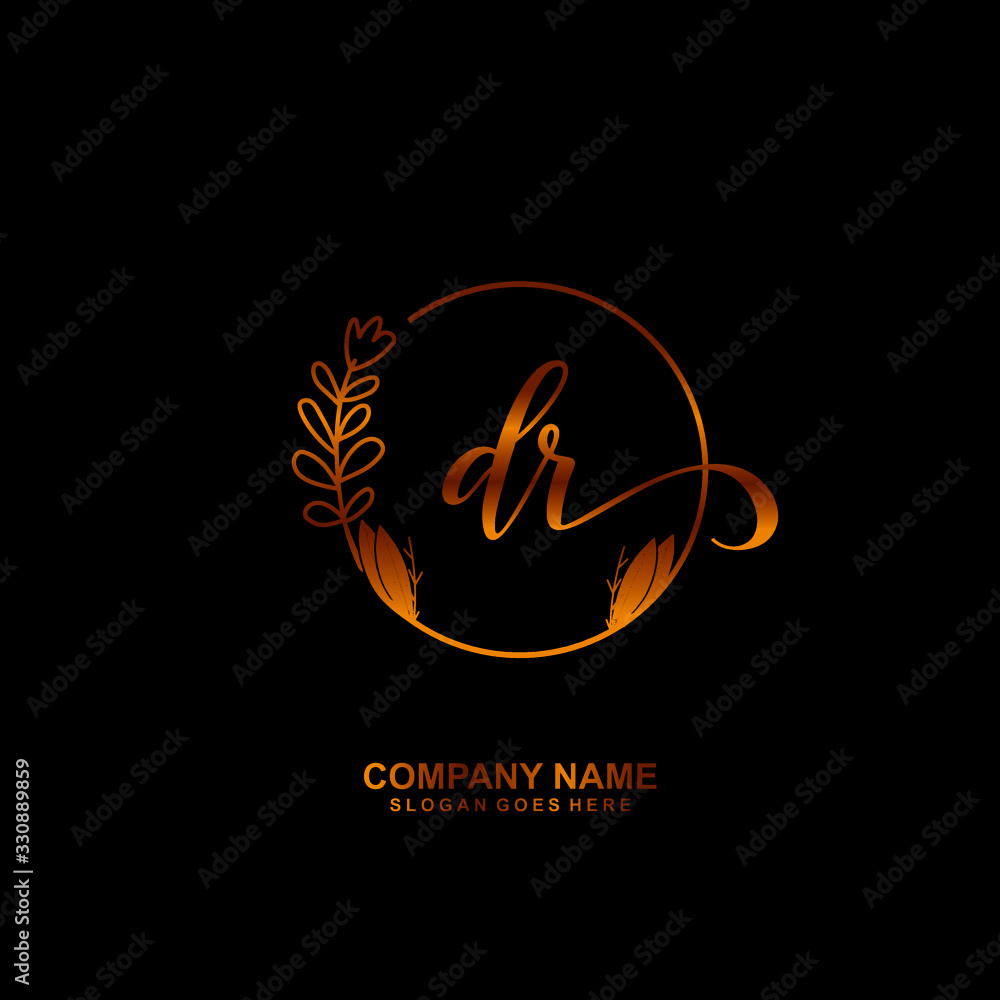 Initial DR beauty monogram and elegant logo design, handwriting logo of ...