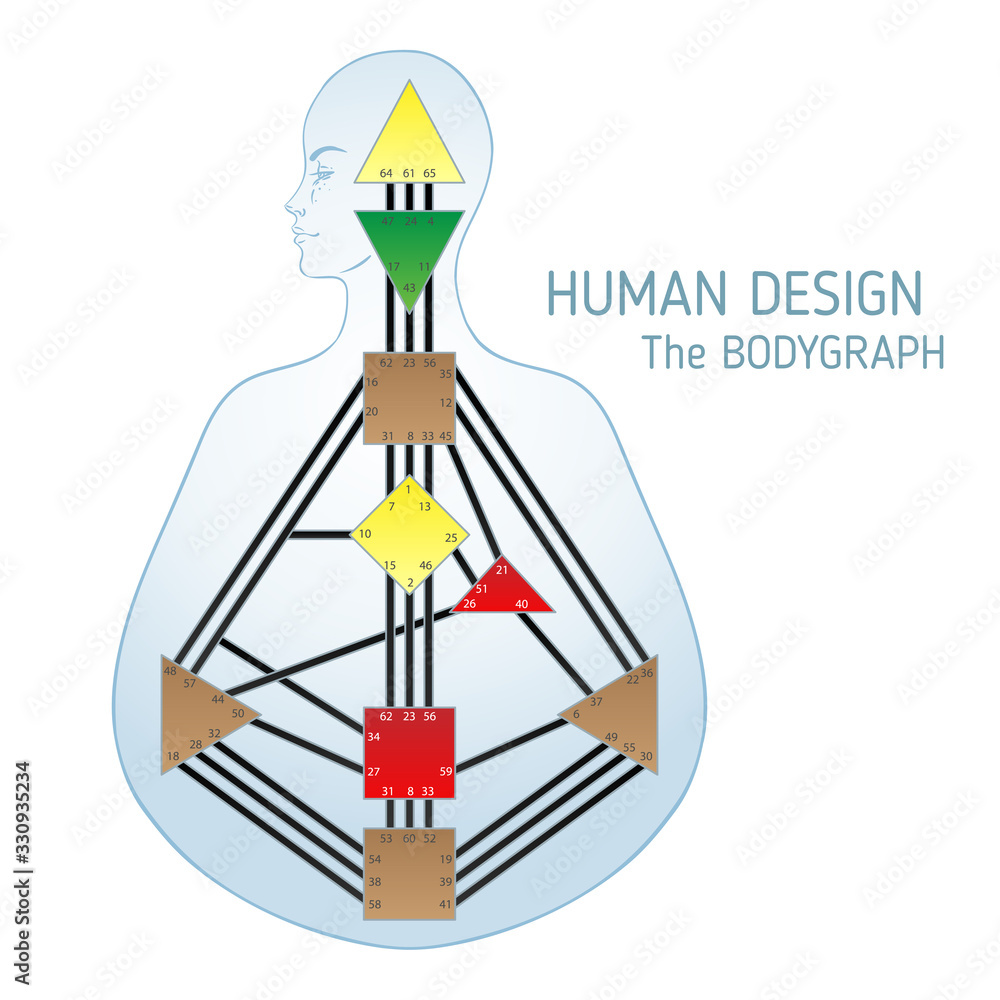 Human design bodygraph chart design. Vector isolated illustration ...