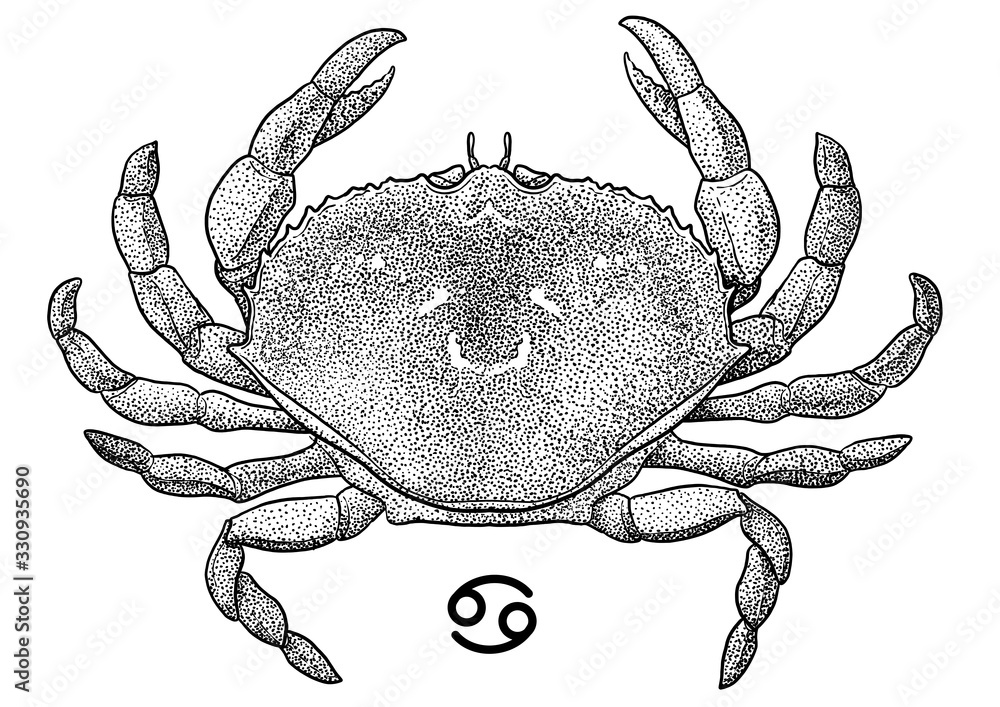 Cancer zodiac symbol illustration, drawing, engraving, ink, line art ...