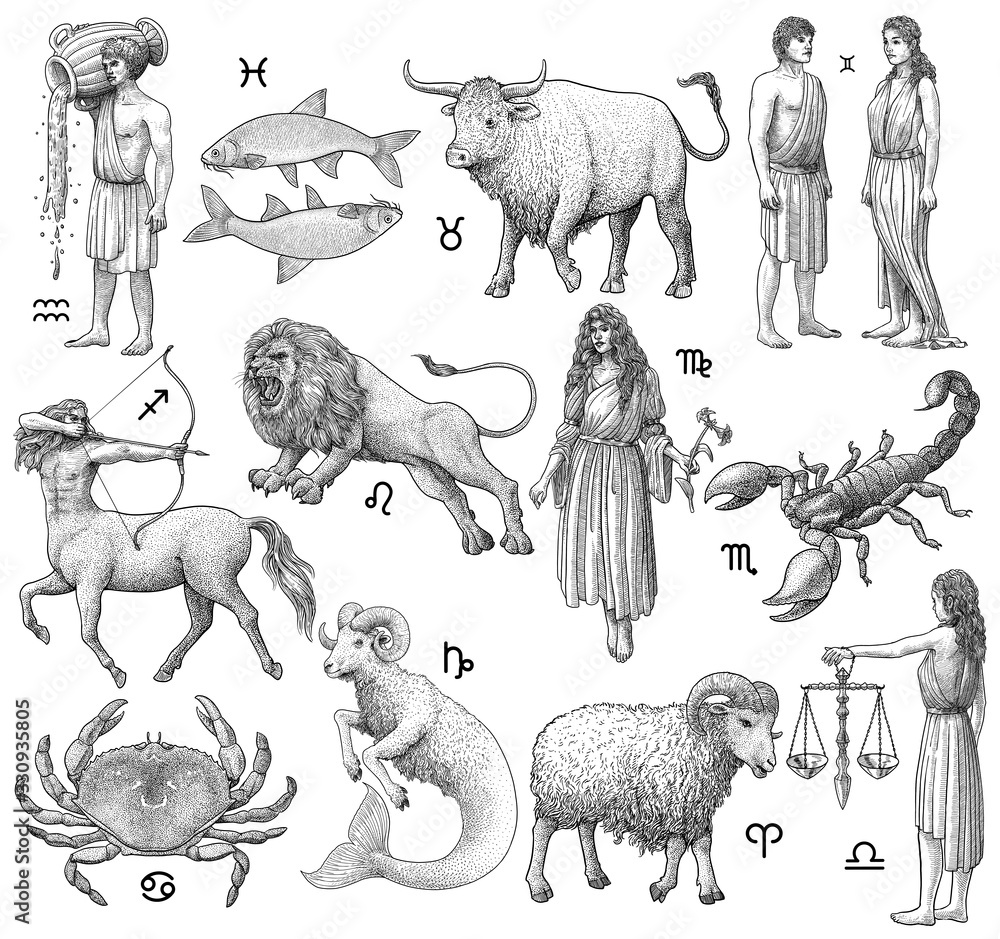 Zodiac signs illustration, drawing, engraving, ink, line art, vector ...