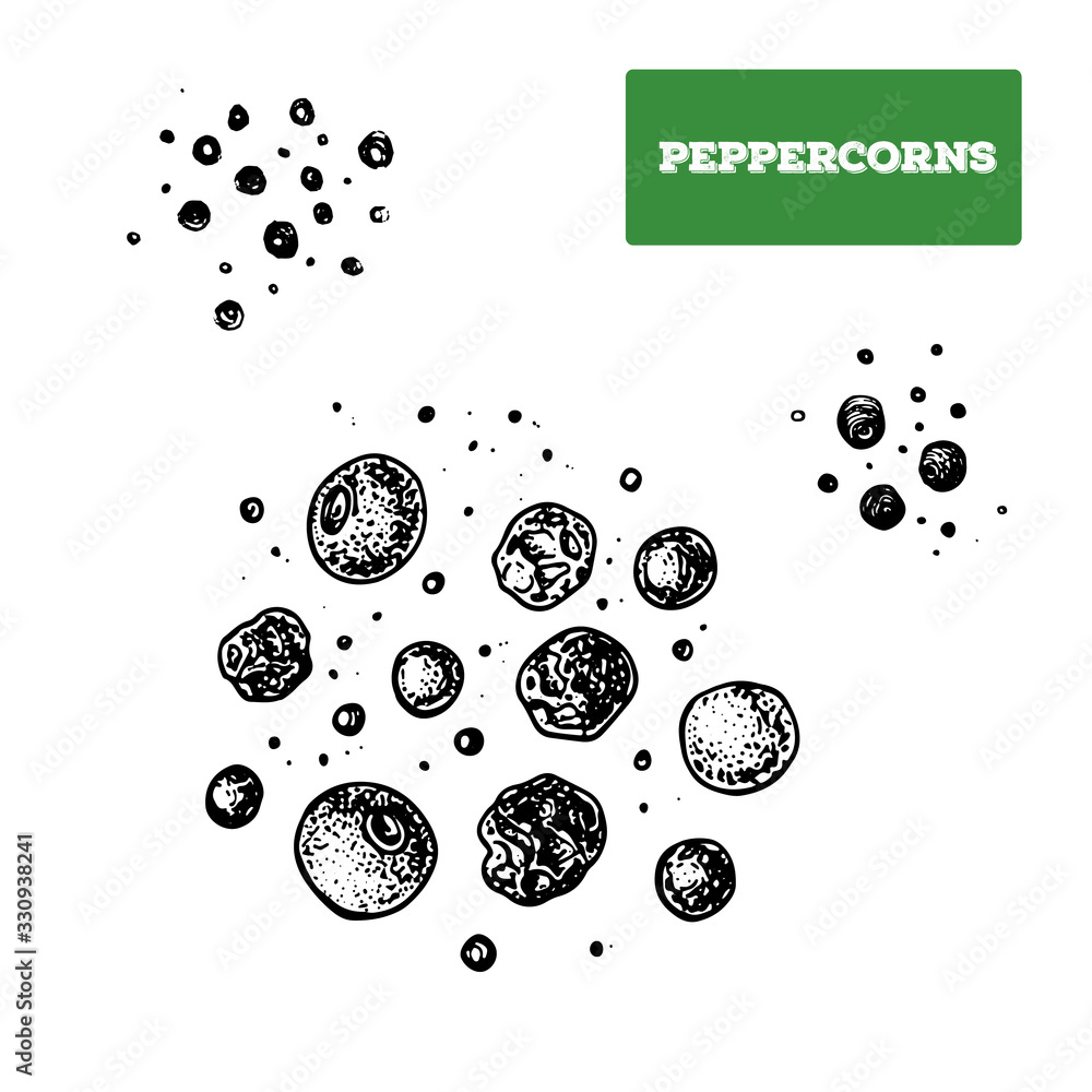 Vetor de Peppercorns hand drawn vector illustration. Isolated sketch of ...
