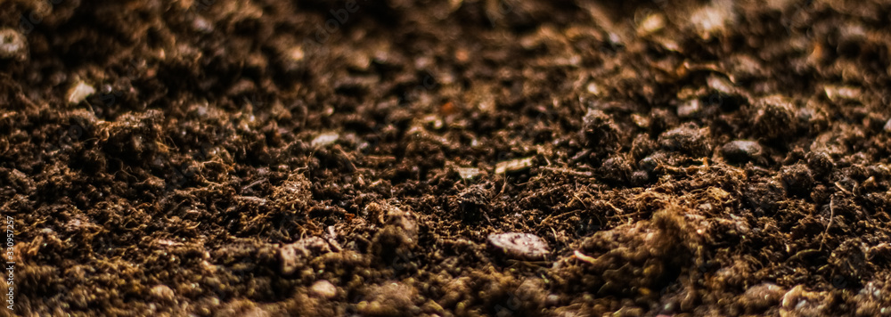 Earth ground texture as background, nature and environment Stock Photo ...