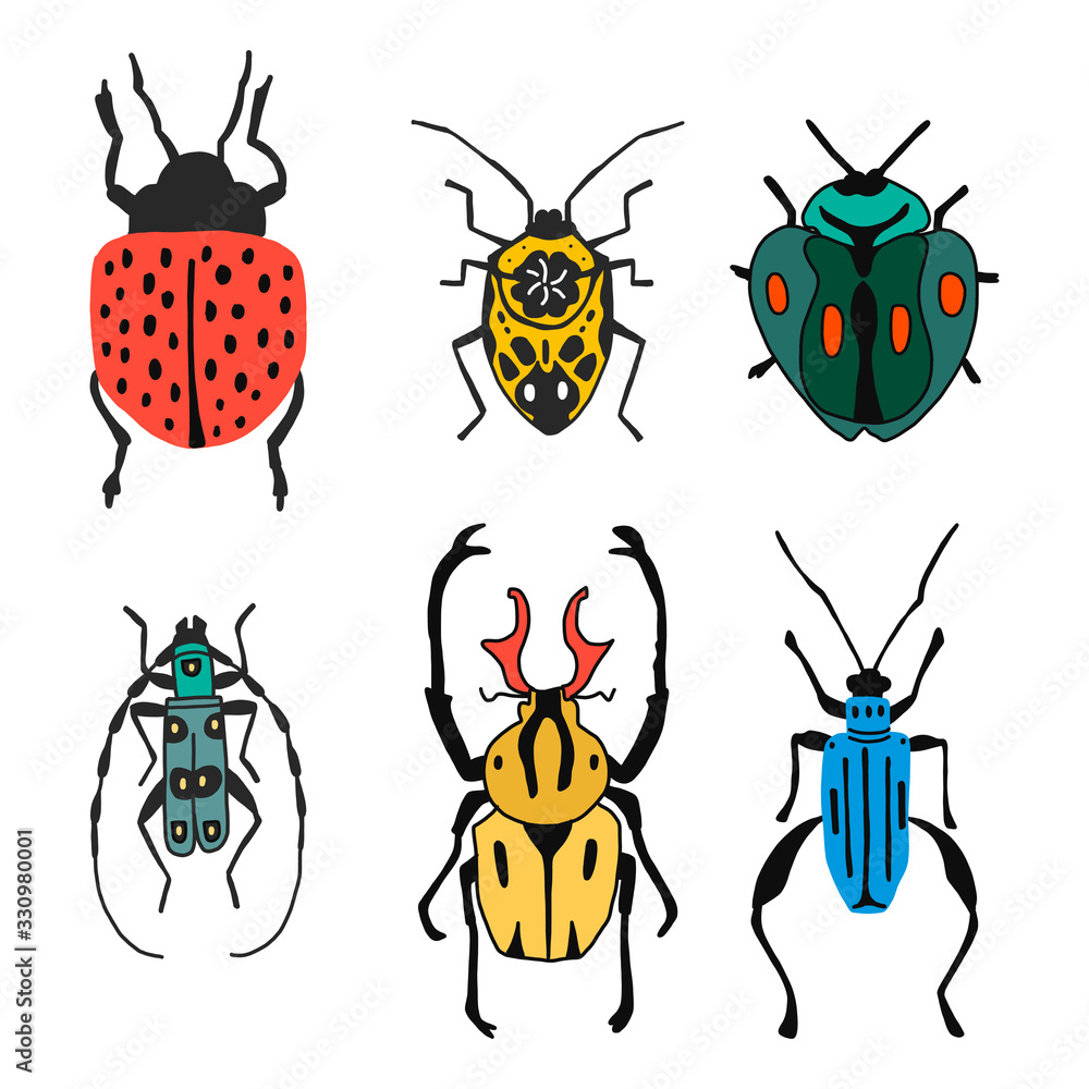 Set of different types of bugs and beetles isolated on white background ...