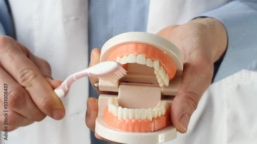 Video Stock Dentist showing jaw model, giving lesson on proper teeth ...