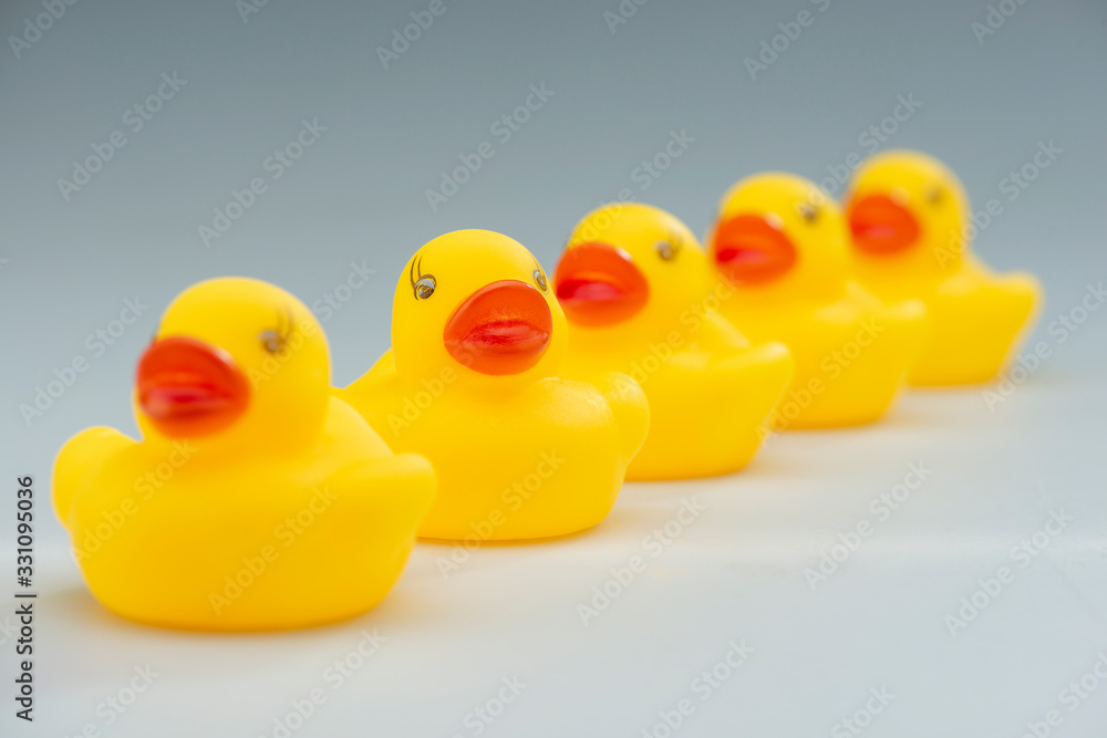 Yellow Rubber Ducks in a Row, Photographed on a Studio Background Stock ...
