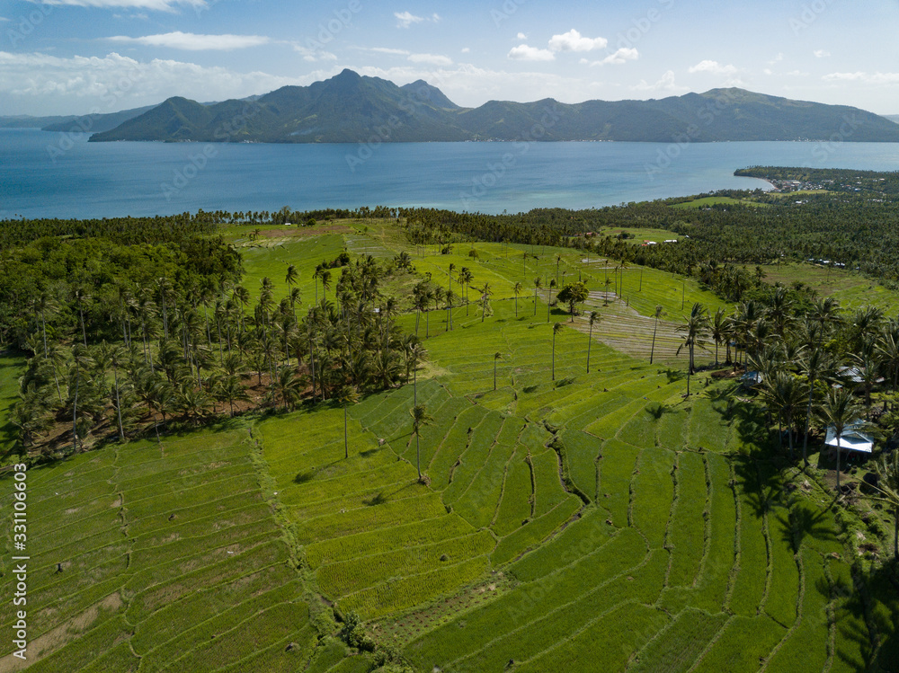 Terrace rice fields in the Philippines, Biliran island, Eastern Visayas ...