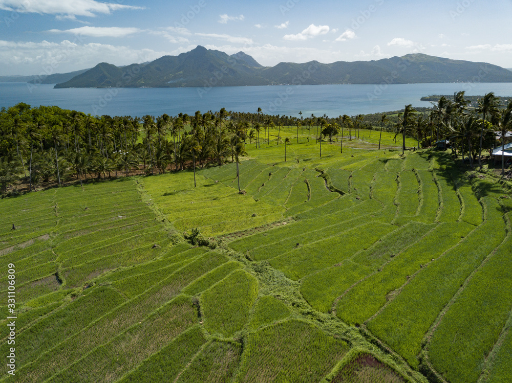 Terrace rice fields in the Philippines, Biliran island, Eastern Visayas ...