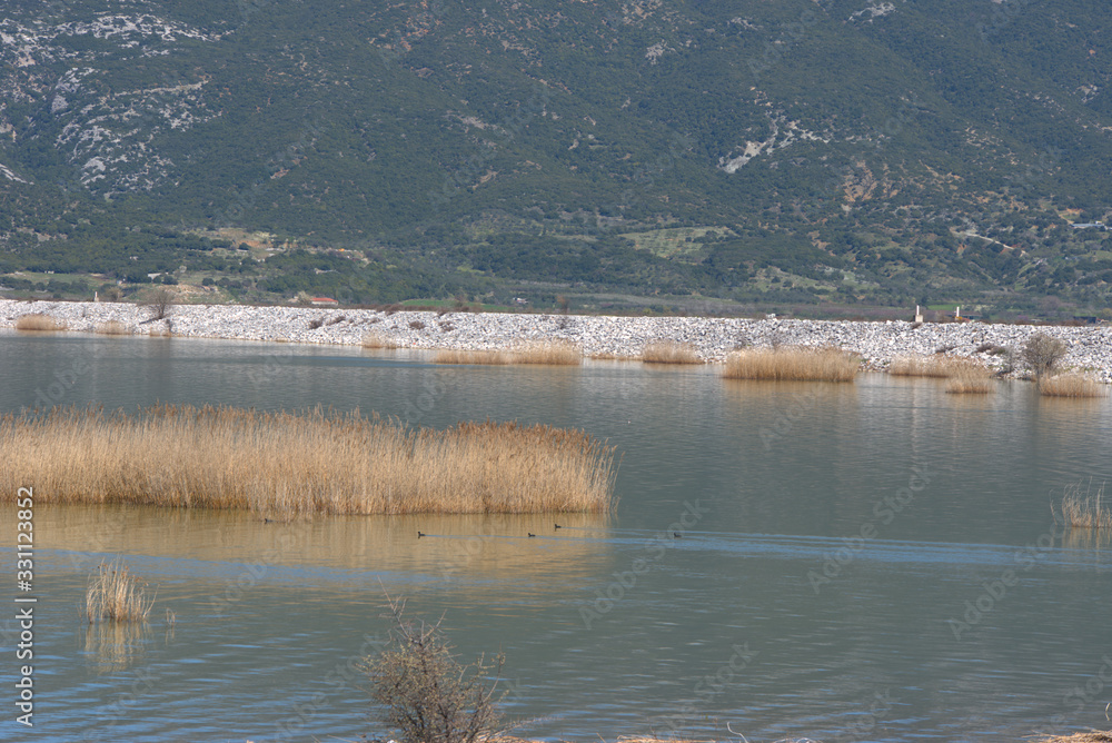 lake Karla , Greece , wild flora and fauna, in a protected ecological ...
