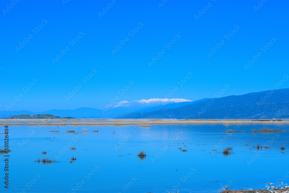 lake Karla , Greece , wild flora and fauna, in a protected ecological ...