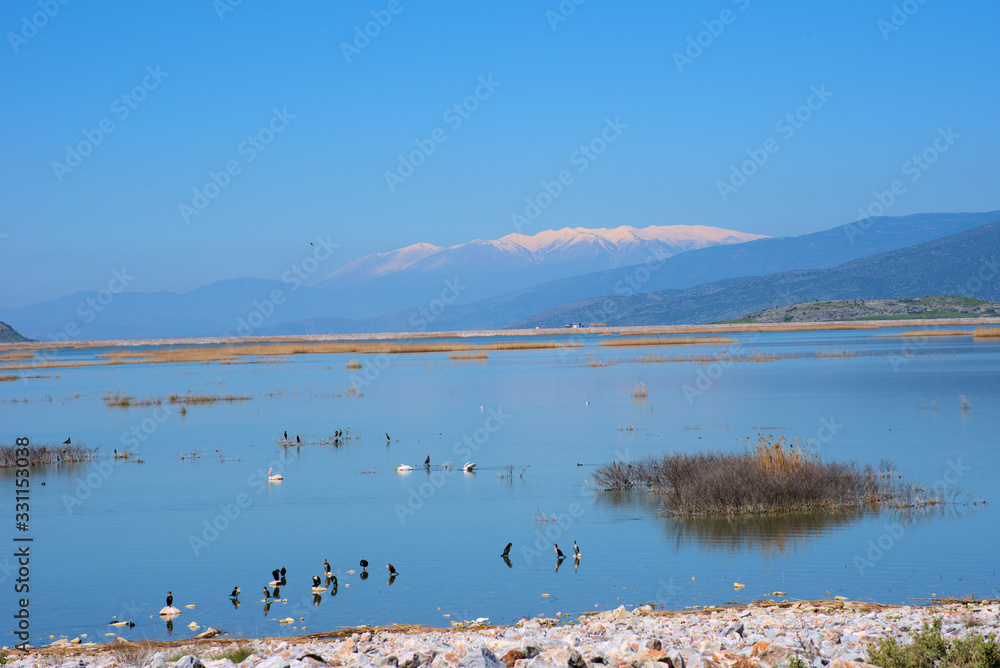lake Karla , Greece , wild flora and fauna, in a protected ecological ...