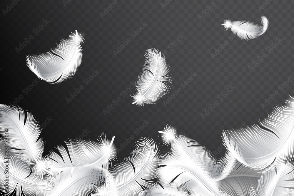 Angel Wing Feathers Falling