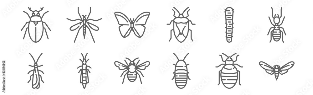 set of 12 insects icons. outline thin line icons such as bug ...