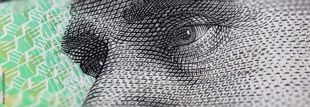 Macro Photography of the eyes of AB 'Banjo' Paterson on the 10 Dollar ...