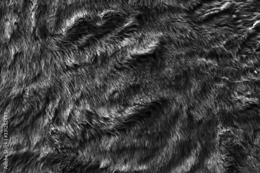 Black real wool with a darktop texture background, dark natural sheep ...