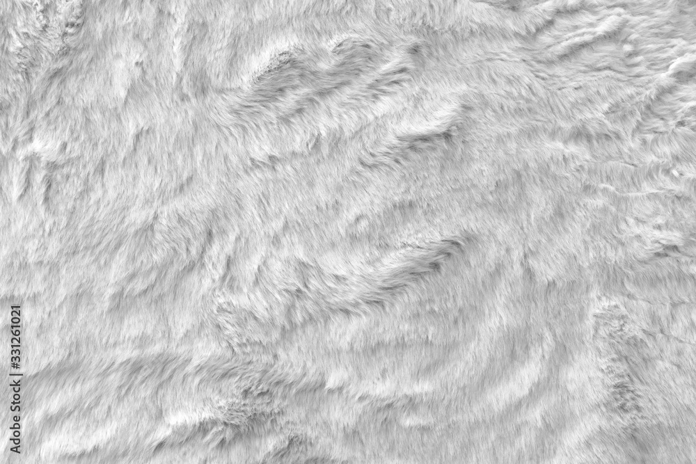 Seamless Wolf Fur Texture