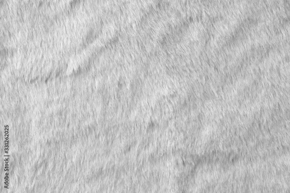 White real wool with a white top texture background, light natural ...