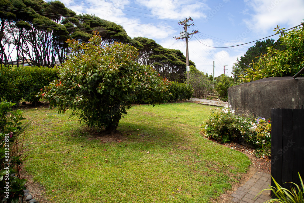 Small garden outside area of a house in rural west Auckland. Mowed ...