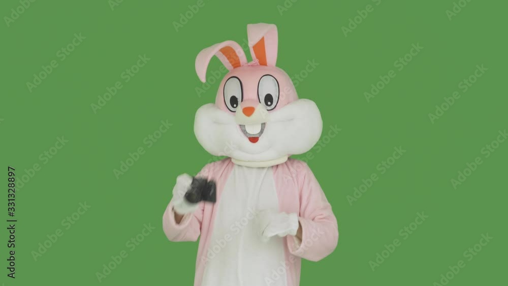 Bunny photographer with retro camera takes a photo on chroma key, green ...