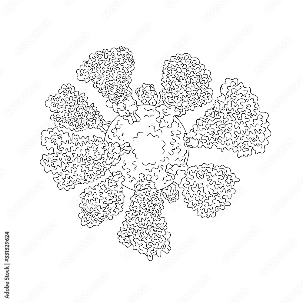Line drawing illustration of a microscopic cryo-electron coronavirus ...