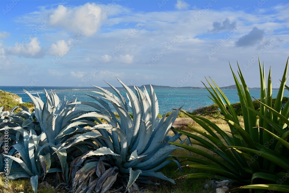 Caribbean Landscape Antigua Island Coastal Water Beach Coast Stock ...