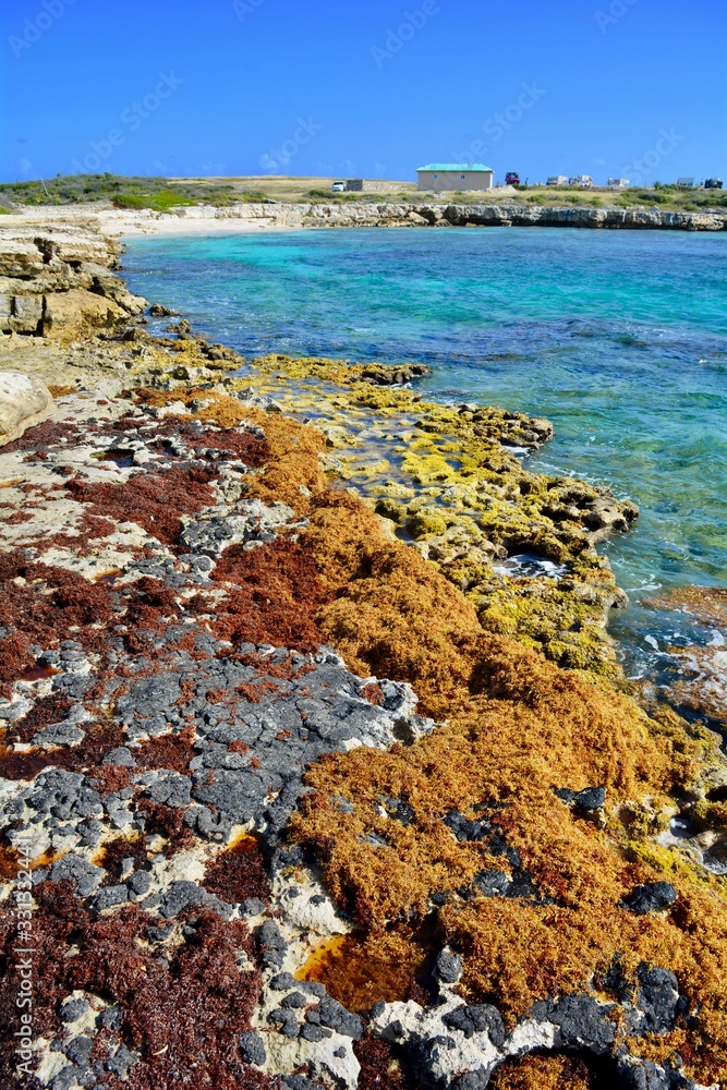 Caribbean Landscape Antigua Island Coastal Water Beach Coast Stock ...