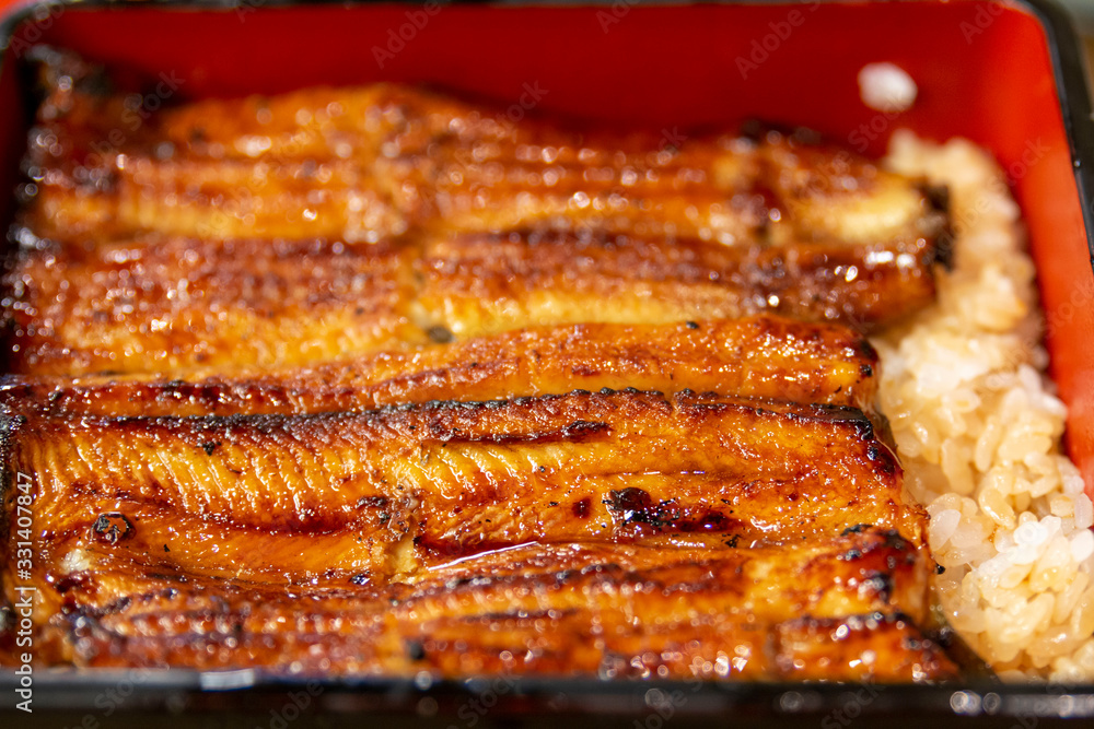 Charcoal grilled Unagi eel over rice or Japanese Unagi donburi (Unadon ...