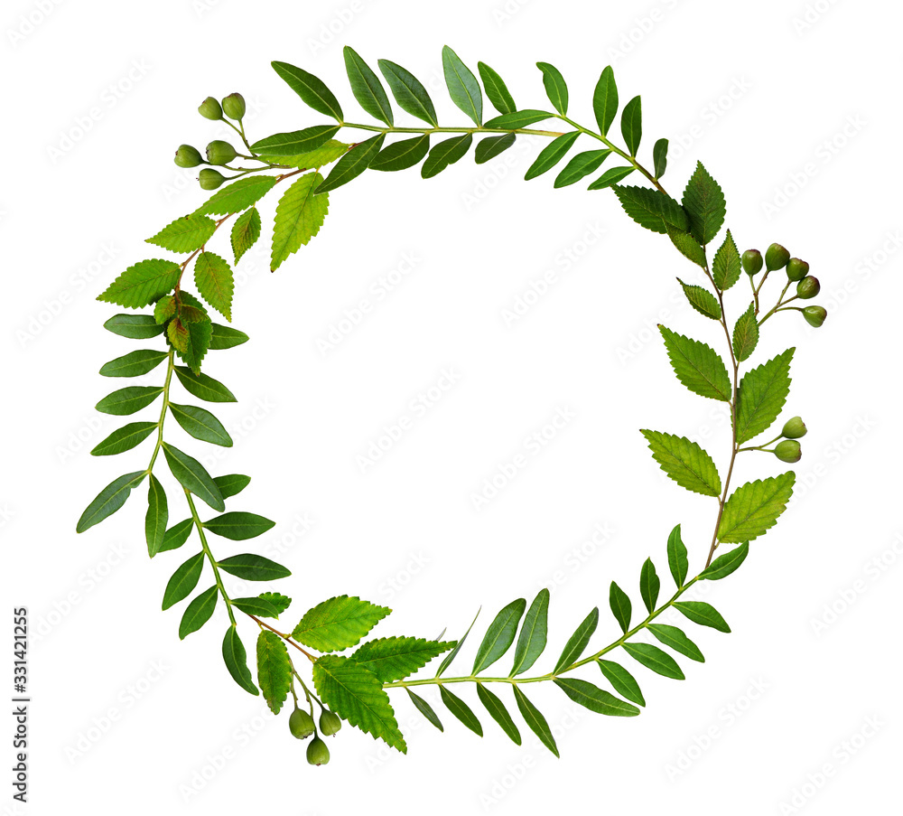 Fresh twigs with green leaves and berries in a round floral frame Stock ...