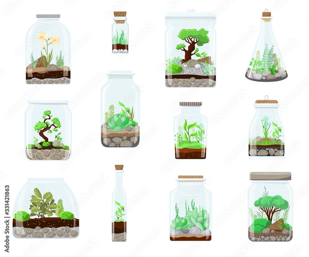 Terrarium Nature green plant in glass garden, plant on decoration ...