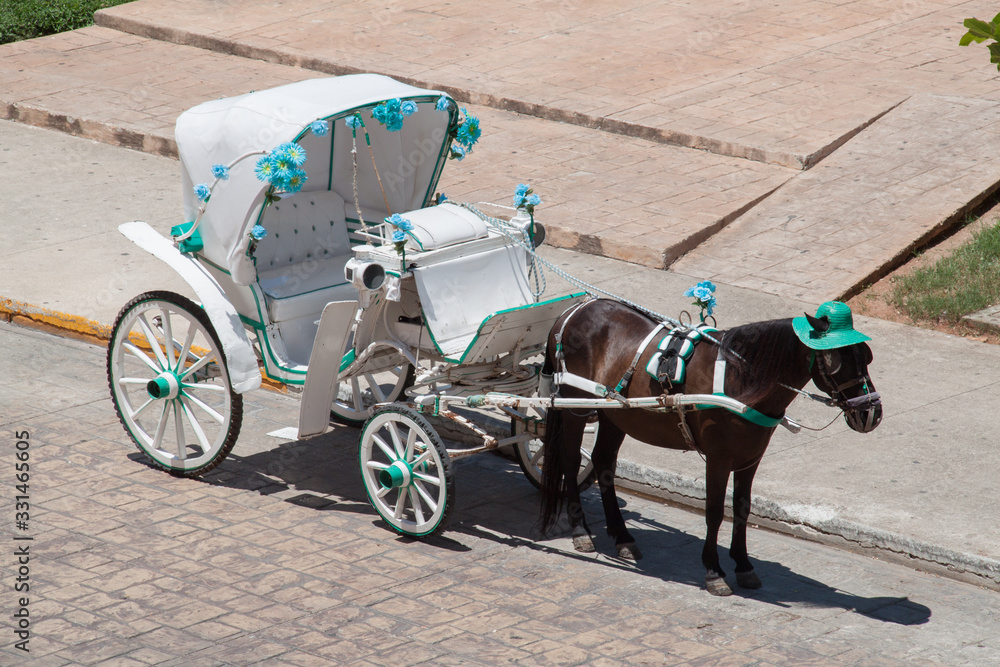 Caballo Carruaje Stock Photo | Adobe Stock