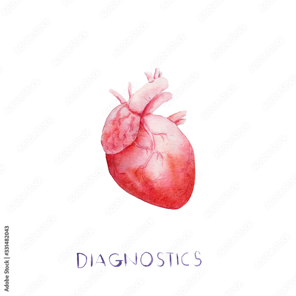 watercolor drawing of a human heart, diagnosis Stock Illustration ...