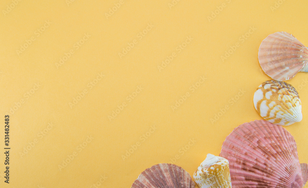 Bright yellow background and different sea and ocean shells (cones and ...