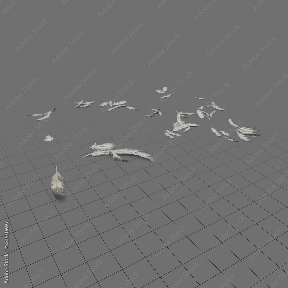 Scattered feathers Stock 3D asset | Adobe Stock