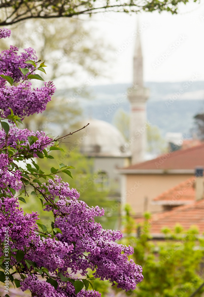 Beautiful,purple lilacs of spring made a natural frame on blurred a ...