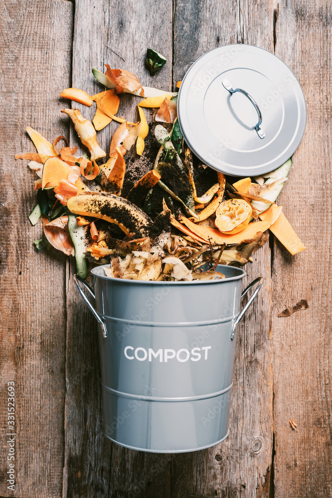 Garbage sorting. Organic food waste from vegetable ready for recycling ...