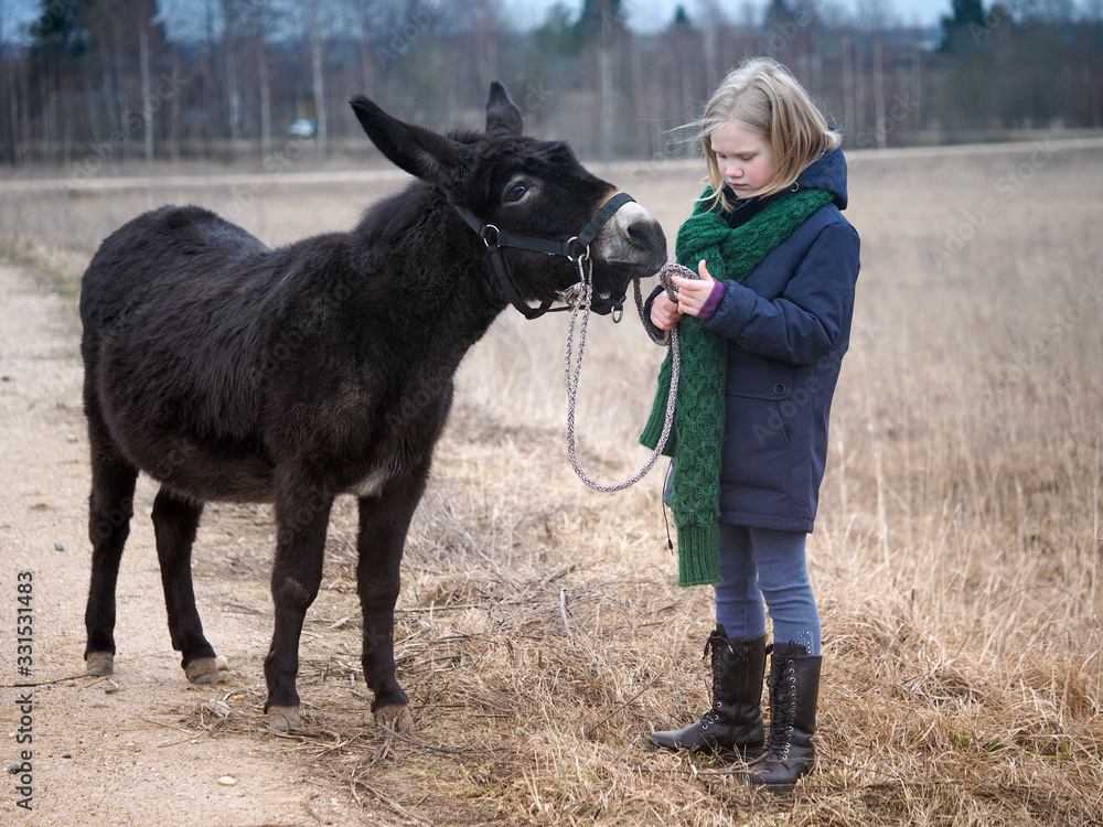 Donkey is the girl's favorite animal. A child with a donkey on a ...