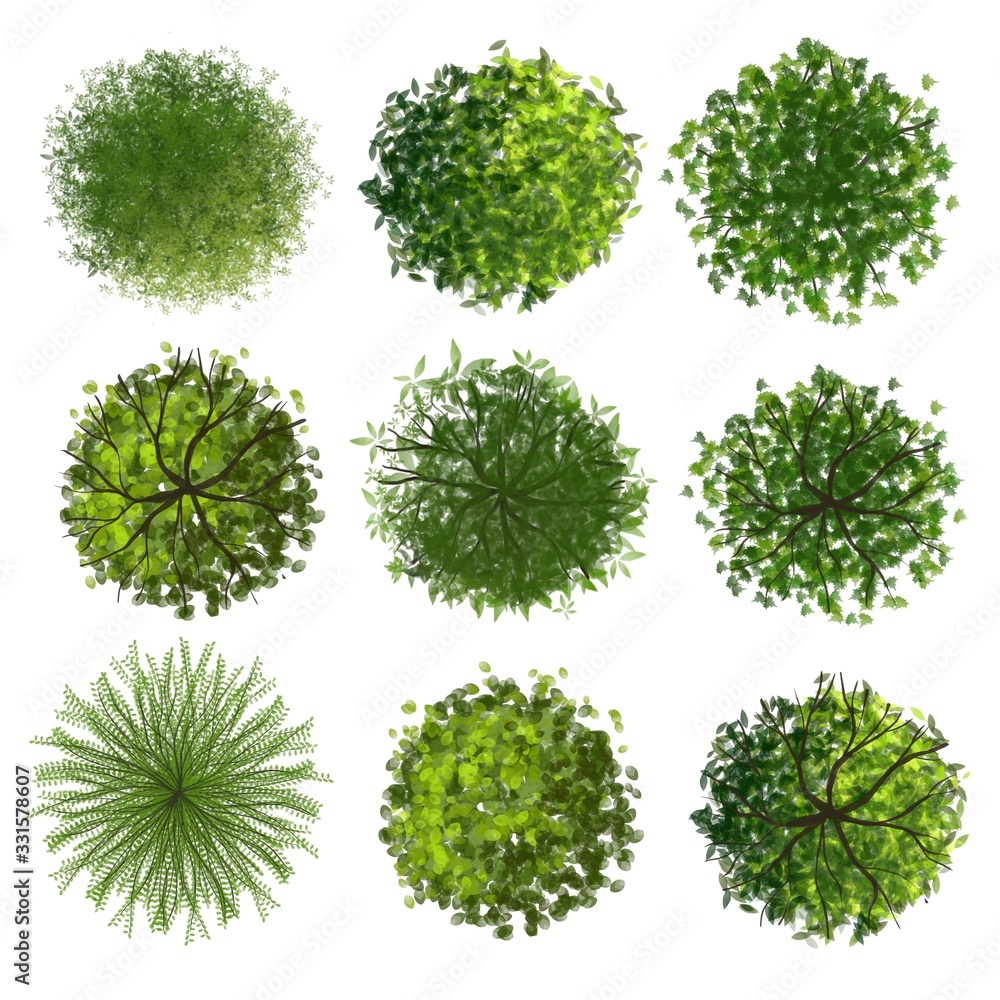 set of trees top view isolated for landscape plan Stock Illustration ...