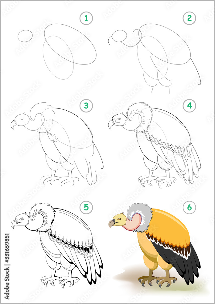 How to draw step by step predatory vulture. Educational page for kids ...