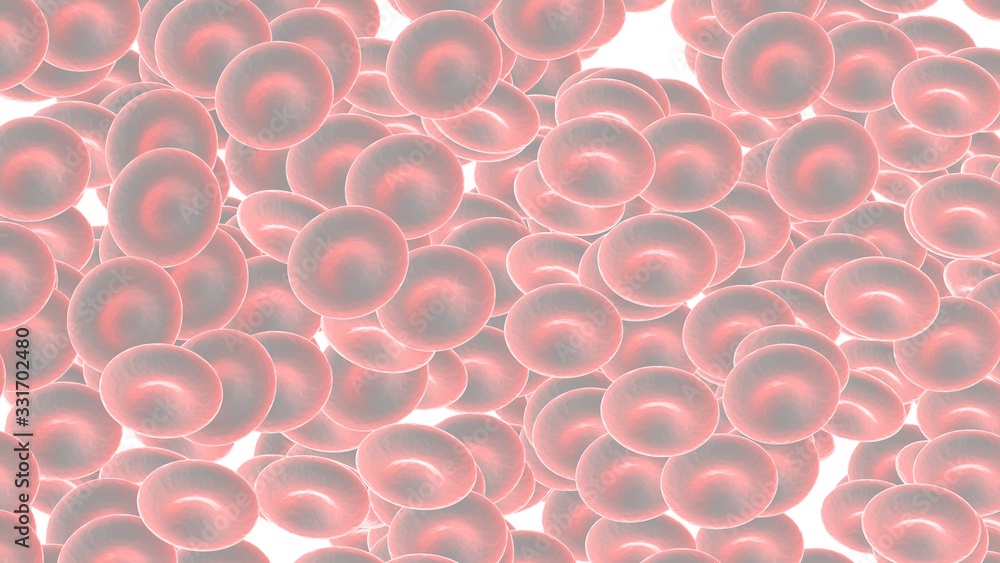 Red blood cells (red blood cells) under the microscope Stock ...