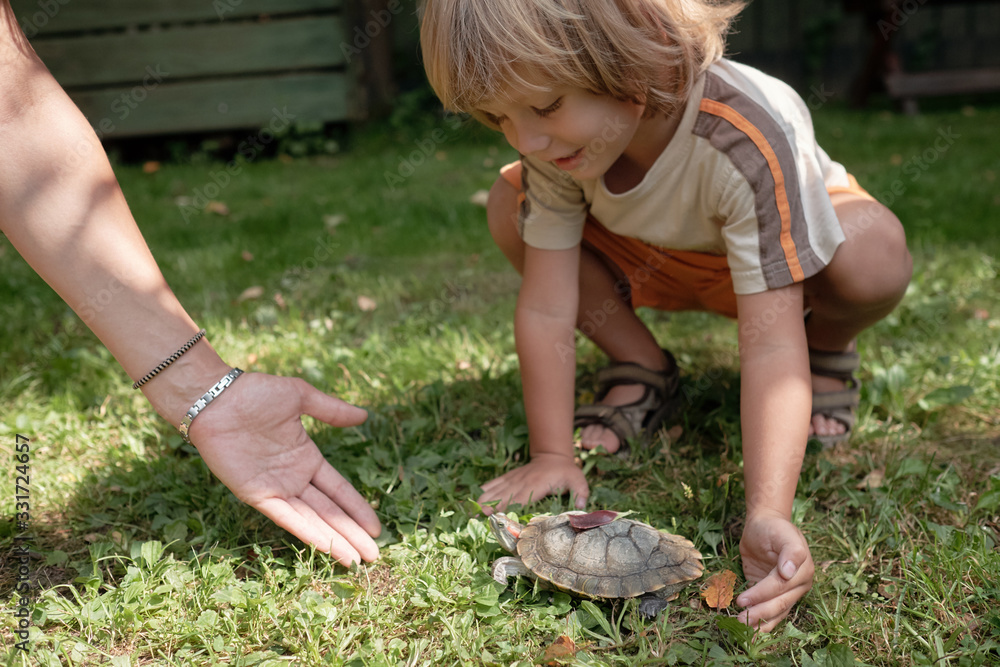 Children with turtle. Cute blond baby walking with red-eared turtle ...