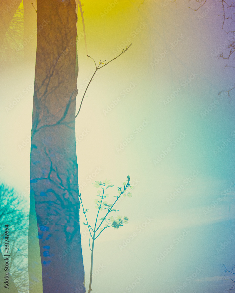 abstract background with trees Stock Photo | Adobe Stock